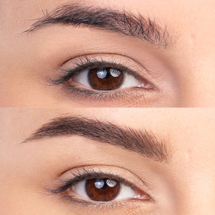 Filled Brow Sculpt and Tint